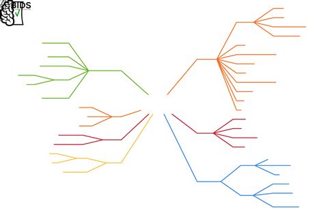 Bids The Brain Imaging Data Structure