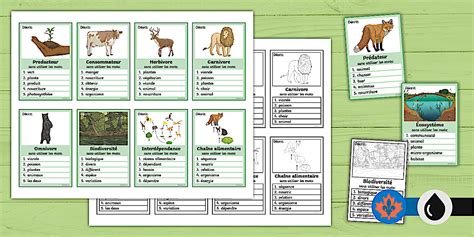 Relationships In An Ecosystem Can You Guess Cards French