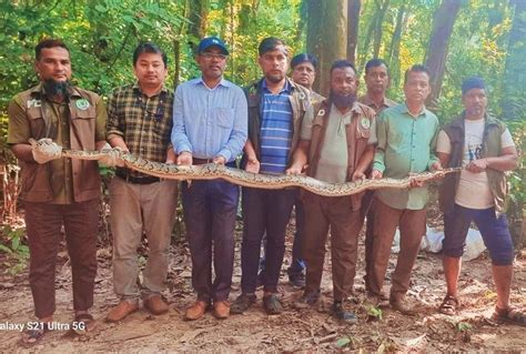 The Climate Watch On Linkedin Burmese Python Released In Kaptai National Park Wildlife