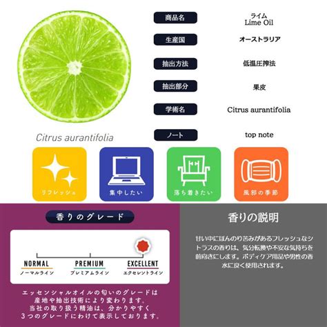 アンドエスエイチ エッセンシャルオイルセット アロマストーン And 精油 ライム 5ml エクセレント プレート リーフ 自然派美容