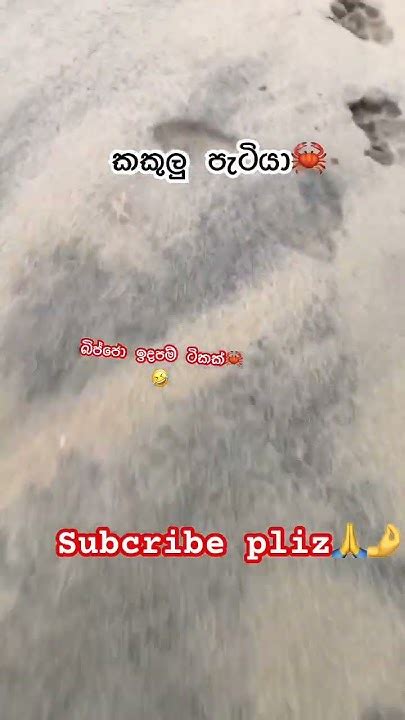 Crab Crabs🦀 මු එක්ක බැනේ🦀🤣 දුවනවා වටේ🏃🦀😂 Viralvideo Travel Fany Subscribe 🦀🤞 Youtube
