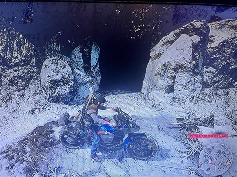 Infestation Exterminator Bug Nest Spawn Rdaysgone