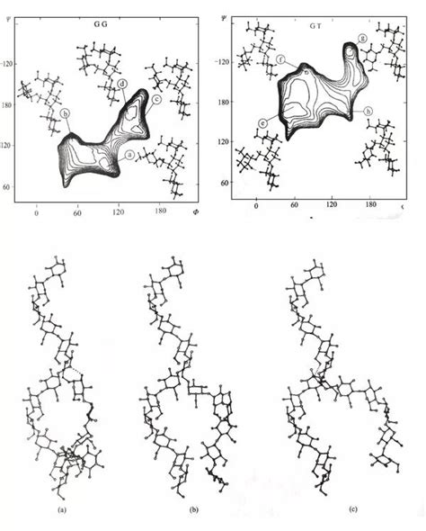 三黍课堂支链淀粉的那些事儿 知乎