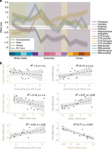 The Mosaic Nature Of Molecular And Volumetric Aging Trajectories A