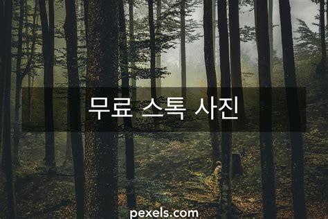 40 000 개의 최고의 윈도우10 바탕화면 사진 · 100 무료 다운로드 · Pexels 스톡 사진