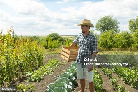 나무 상자를 들고있는 정원 풍경 앞에서 자랑스럽게 서있는 모자를 쓴 농부 남자 농업 20 24세에 대한 스톡 사진 및 기타 이미지 20 24세 남성 남자 Istock