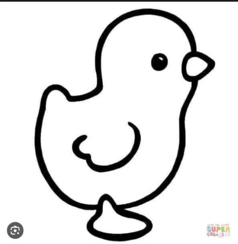 Lindo Pollito Pinterest