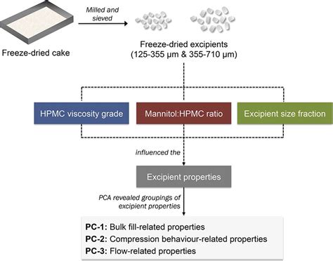 Probing The Impact Of HPMC Viscosity Grade And Proportion On The Physical Properties Of Co