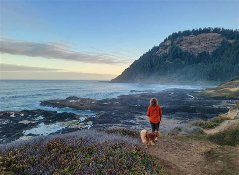 Heart Healing With My New Friend The Pacific Ocean—14 Quotes