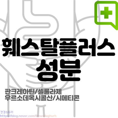 소화제 훼스탈 플러스 성분 및 효과 네이버 블로그