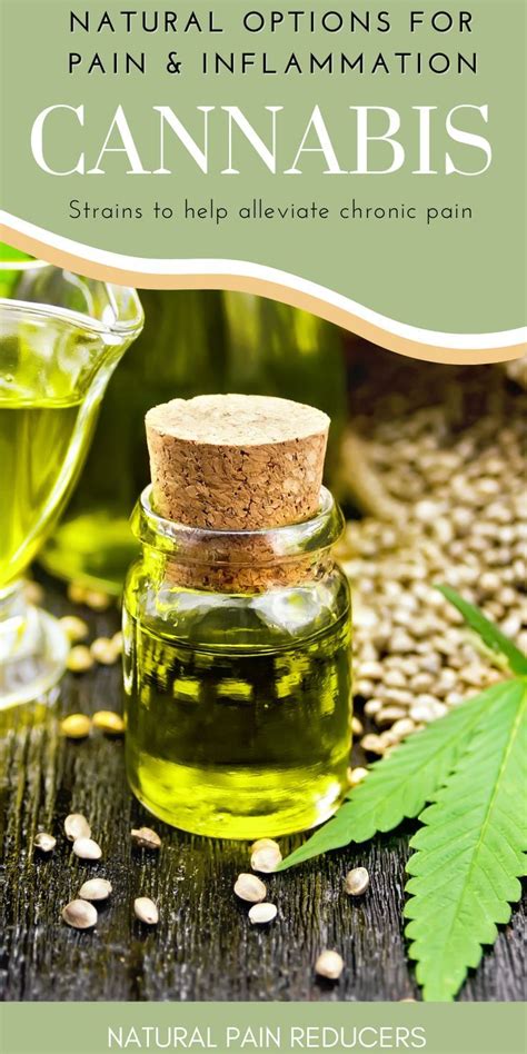 10 Of The Best Cannabis Strains For Chronic Pain Artofit