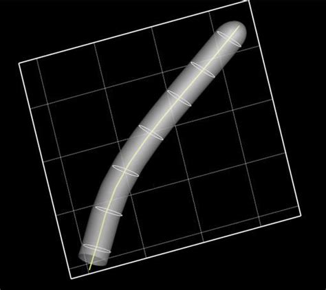 Bio Protocol On Linkedin By Using High Resolution Imaging Super