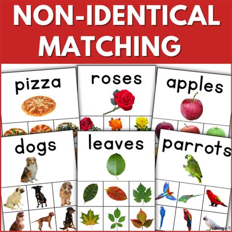 Non Identical Matching Picture Cards Activity Nonverbal Autism File Folder Set 1