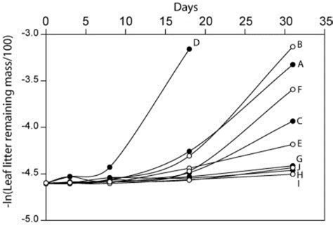 Temporal Variation In Leaf Litter Remaining Mass Expressed In
