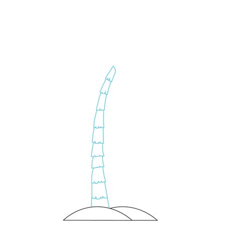 How To Draw A Palm Tree Step By Step