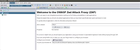 Dynamic Analysis With Owasp Zap