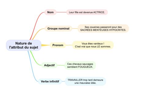 Carte mentale de la nature de l attribut du sujet collège Apprendre