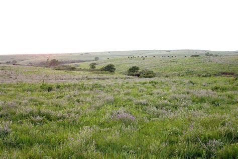 Flint Hills Tallgrass Prairie One Earth