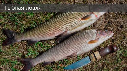 Рыбная ловля - Финские ножи