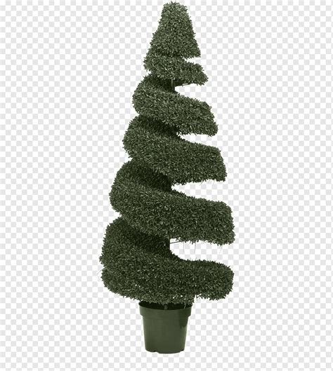 스프 루 스 크리스마스 트리 상자 전나무 녹색 장식 크리스마스 트리 휴일 나무 가지 장식적인 Png Pngwing