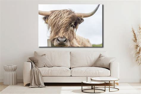 Highland Cow Wall Art Highland Cow Canvas Design Highland Etsy