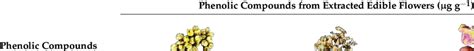 Individual Phenolic Compounds From Different Dried Edible Flowers