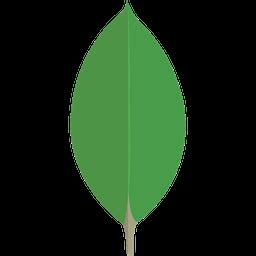 MongoDB Rename Collection Javabytechie