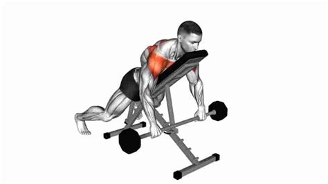 Barbell Incline Lying Rear Delt Raise Video Guide Lyfta