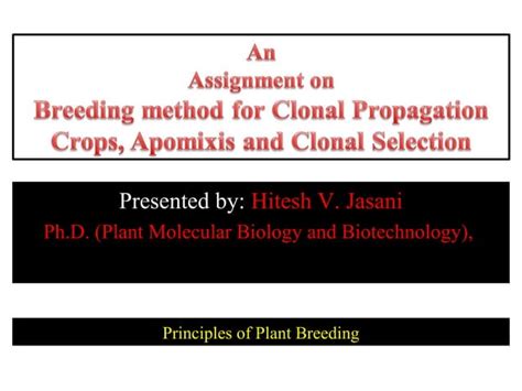 Breeding Method For Clonal Propagation Crops Apomixis And Clonal