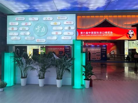 不一般 进博会，百岁坊来了！ 丽江百岁坊银器饰品有限公司