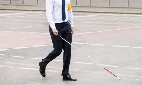 Echolocation Using Sound To Detect Surroundings Particle