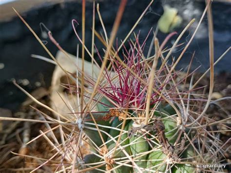 TCL Stylus G Review An Integrated Stylus Sets This Affordable Option