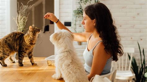 Five Foods You Should Never Feed Your Cat According To An Expert