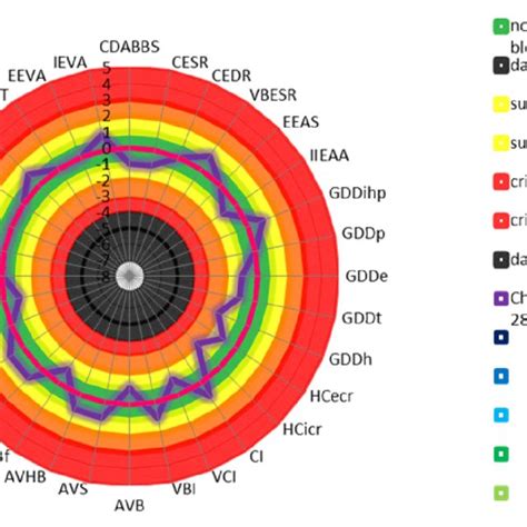 Evaluation Results Of Microcirculation By Means Of Vascular Screening