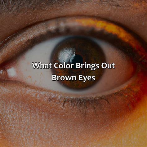 What Color Eyeshadow Brings Out Dark Brown Eyes At Sandy Vincent Blog