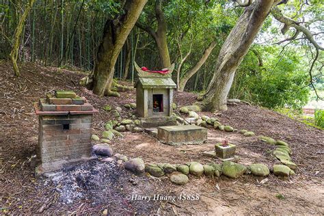 Harry 45858 土地公廟 福德祠 伯公廟 相思樹 宗教 信仰 苗栗縣 通霄鎮 苗栗 通霄 鳥眉里 Flickr