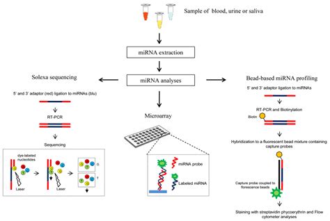recent advance in biosensors for micrornas detection in cancer