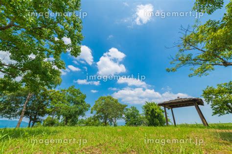 夏の青空と白い雲と緑の写真素材 158070530 イメージマート