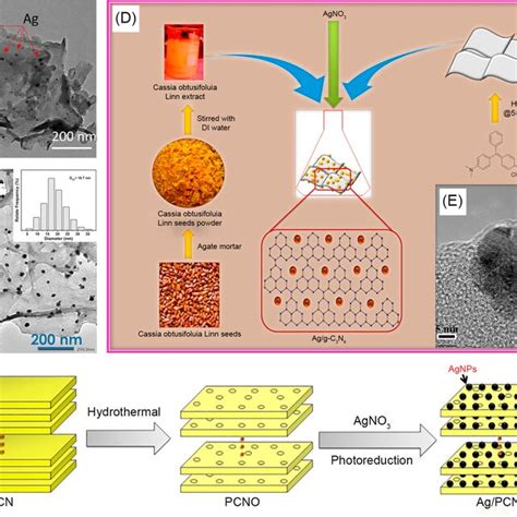 Transmission Electron Microscopy Images With Particle Size Distribution