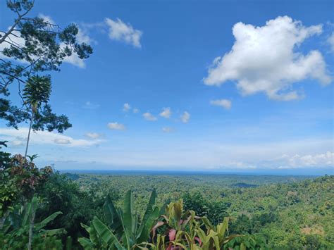 Plain Language Summary Networking Ecosystem Services To Benefit People Relational Thinking