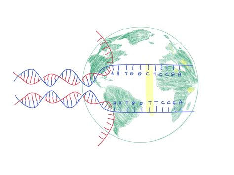 Personal Genetic Ancestry Testing Dnadots By Minipcr
