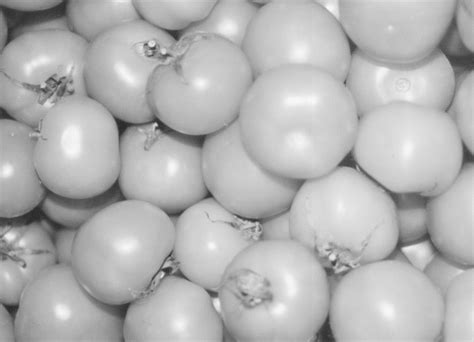 Image Transforms Hough Transform