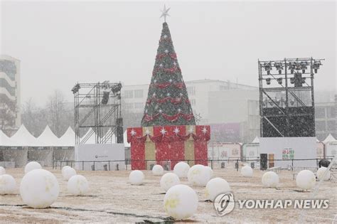 눈 쌓인 크리스마스 트리 연합뉴스