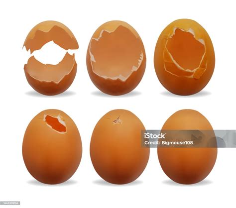 현실적인 상세한 3d 닭고기 달걀 깨진 전체 세트 벡터 3차원 형태에 대한 스톡 벡터 아트 및 기타 이미지 3차원 형태