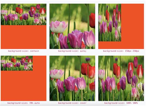 Tìm hiểu về background gradient css là gì và cách sử dụng
