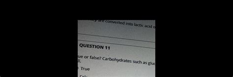 Answered Question 11 Are Converted Into Lactic Acid O Ue Or False