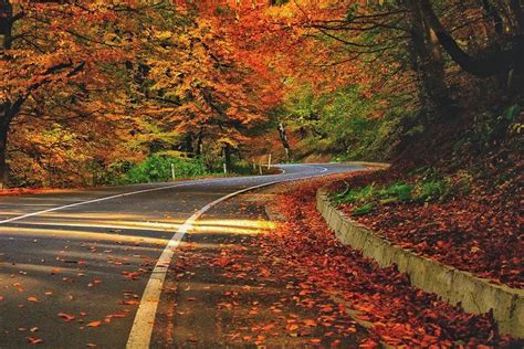 საბადურის ტყე და სიონის ტბა თიანეთი 0 Gel ელ დორადო