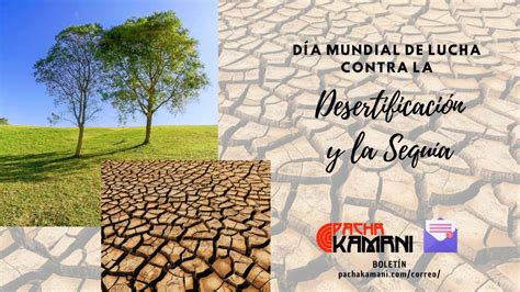 Cuales Son Las Causas Consecuencias Y Soluciones A La Deforestación