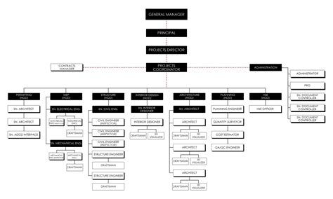 Organization Chart Serex International Consultants