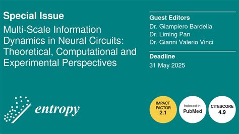 The New Special Issue Multi Scale Information Dynamics In Neural